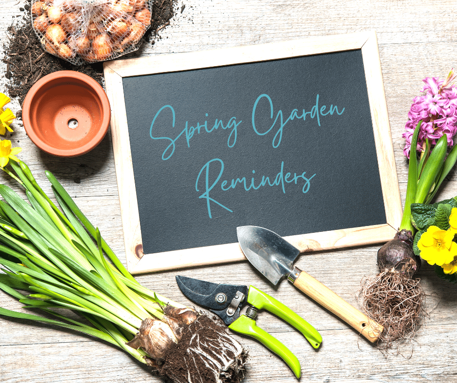 Getting Your Garden Ready For Spring - The Carolina Mountain Life